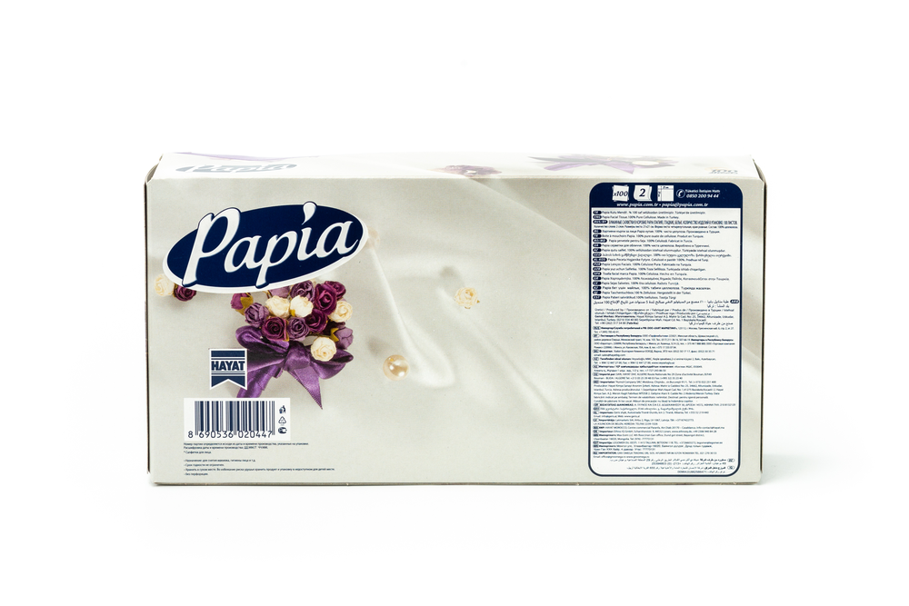 Papia, Napkin, 2 Layers, 100 Pcs. - Veli store